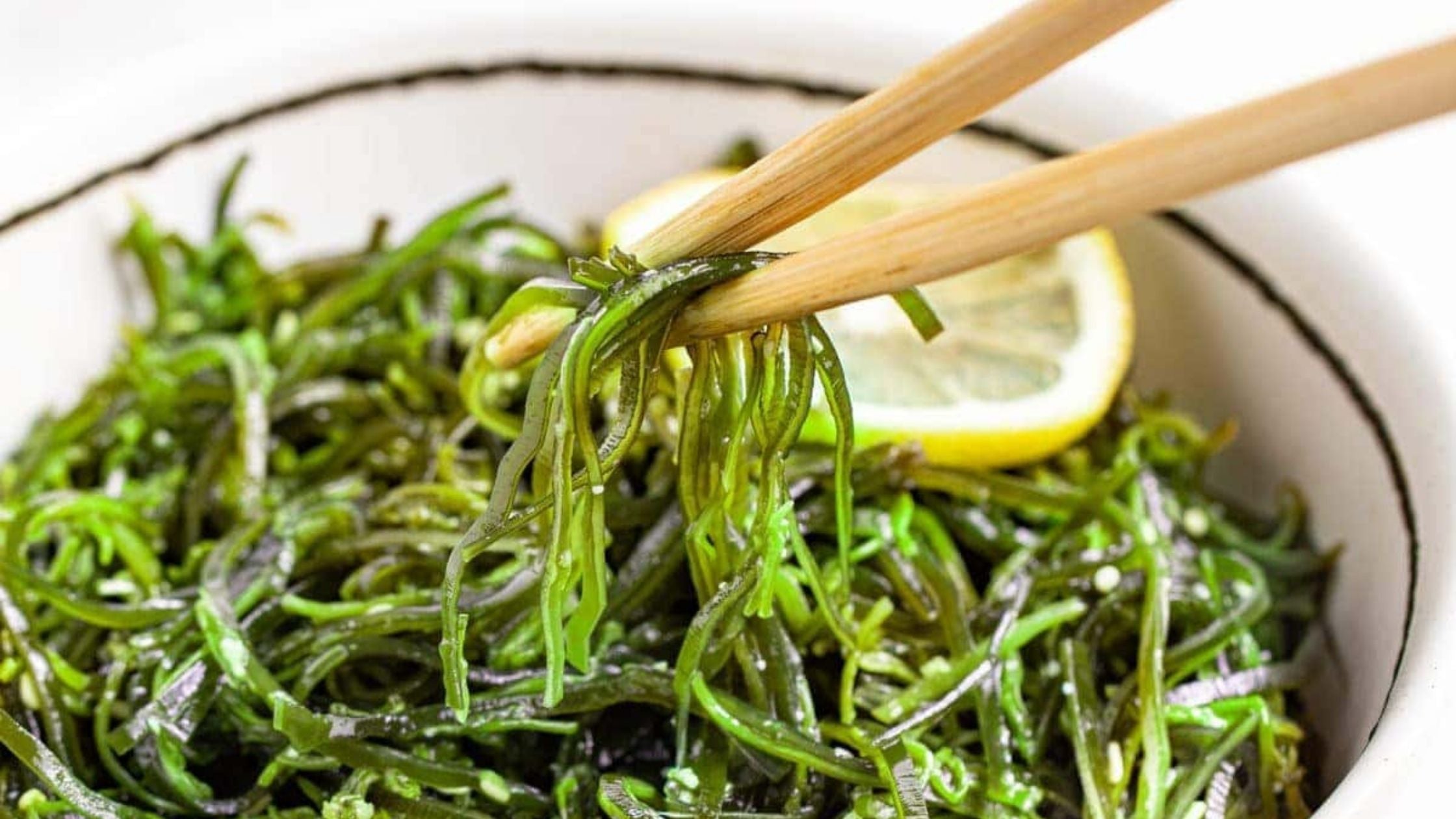 The Health Benefits of Mekabu Fucoidan Extract: What Science Says ...